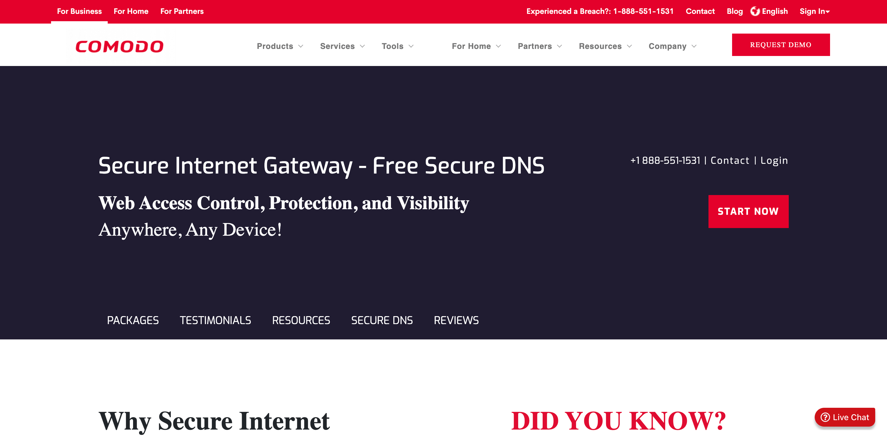 Публичные DNS-сервера SkyDNS